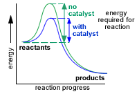 Rates and reaction profiles